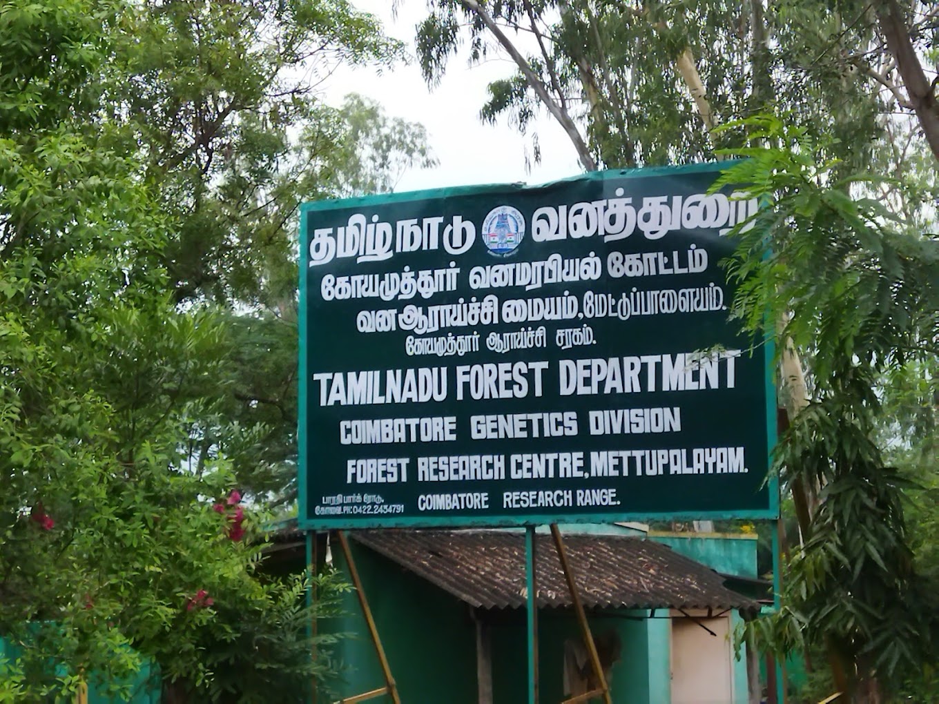 Forest College and Research Institute Mettupalayam||Obcright